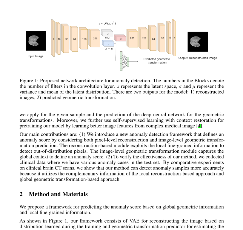 Self-Supervised Out-of-Distribution Detection in Brain CT Scans | Nakatsuka Shunsuke